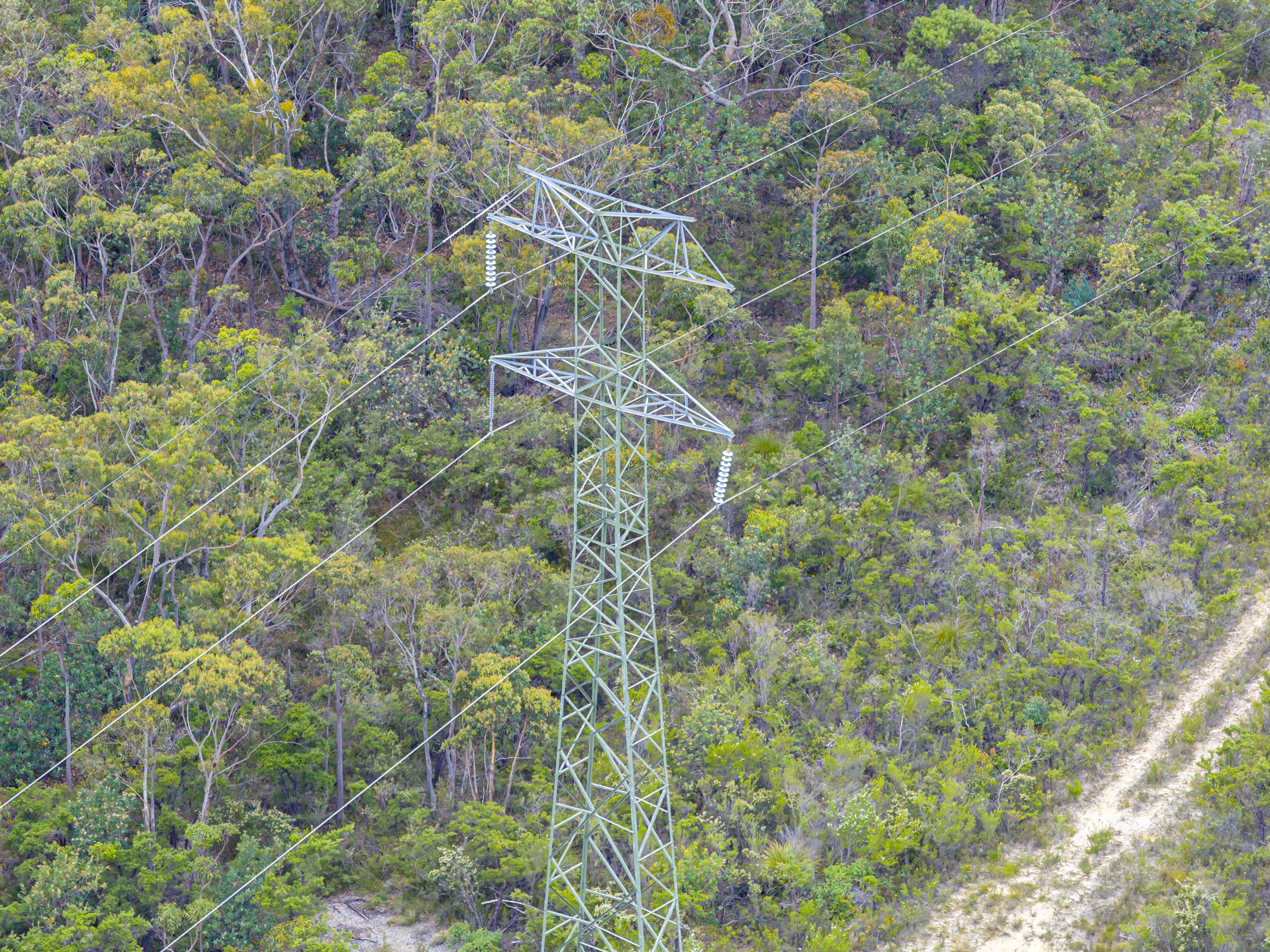 Transgrid to begin helicopter patrols across Upper Hunter - 98.1 Power FM